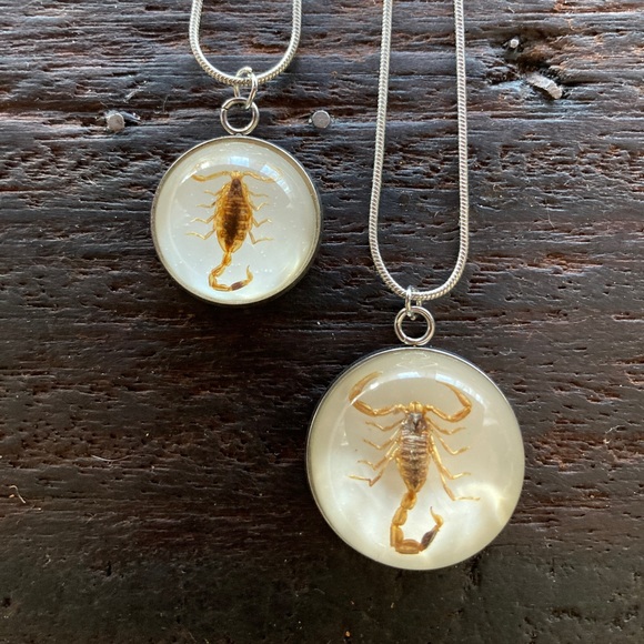 Hand Crafted | Jewelry | Real Golden Scorpion In Resin Mounted On ...